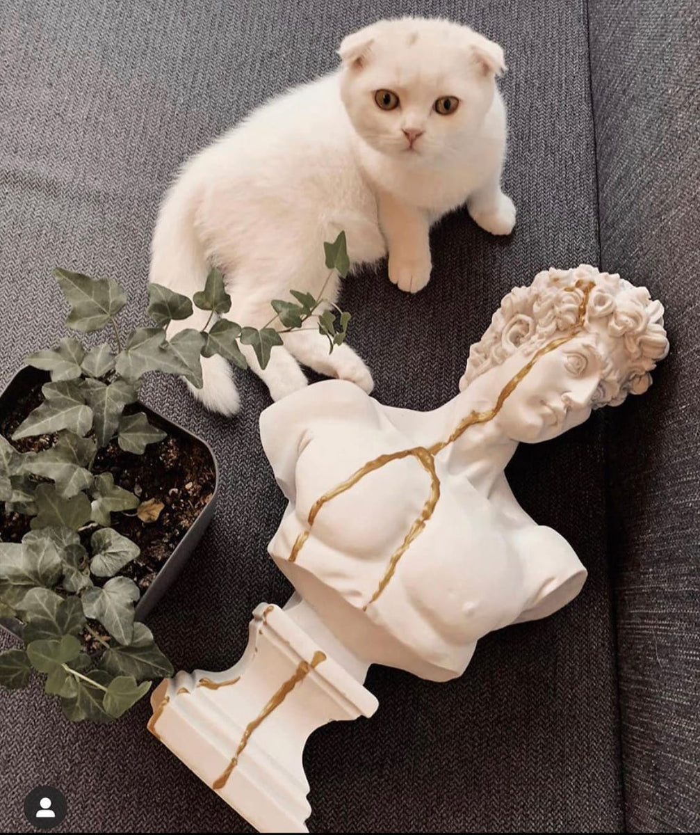 David Bust - Best David Bust Statue | MusaArtGallery™