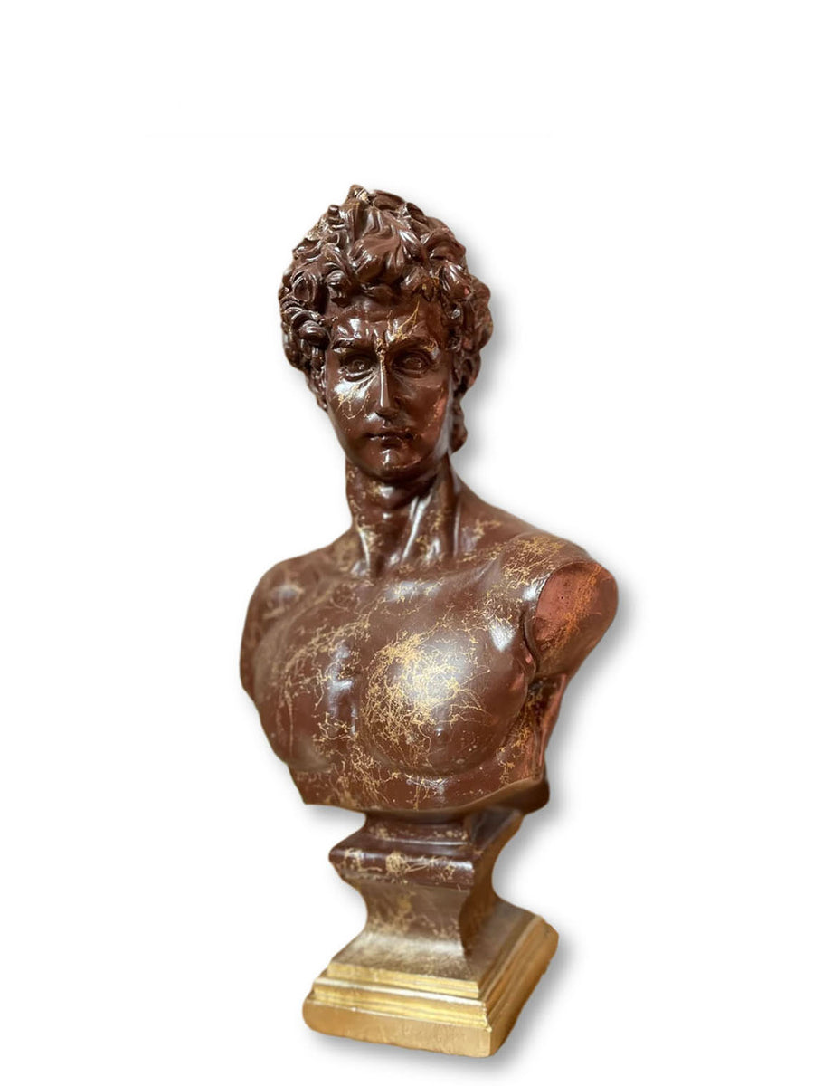 Brown David Bust Statue - David Bust Statue For Sale | MusaArtGallery™