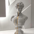 Gold David Bust Statue - David Bust Statue For Sale | MusaArtGallery™