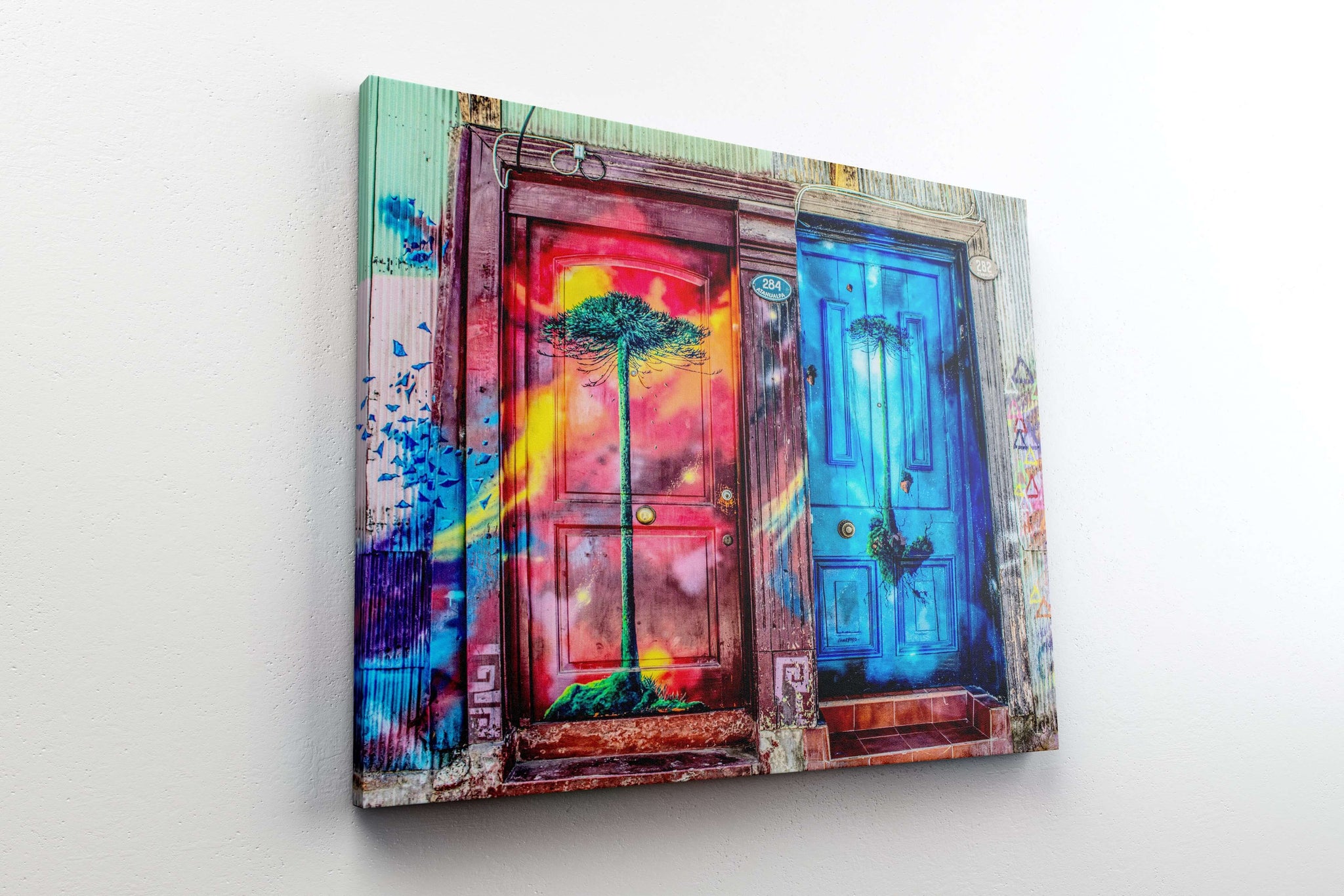 Door Graffiti Wall Art - Street Art on canvas | MusaArtGallery™