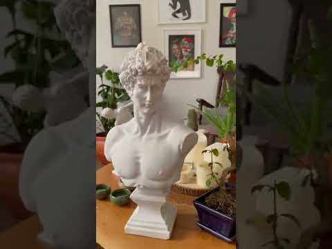 White David Bust Statue - David Bust for Sale | MusaArtGallery™
