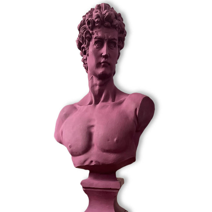 David Bust - Best David Bust Statue | MusaArtGallery™