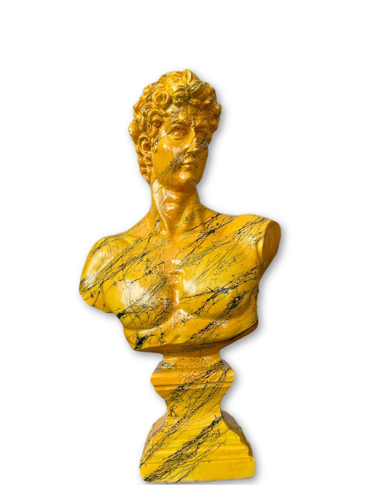 Yellow David Bust Statue - David Bust Statue for sale | MusaArtGallery™